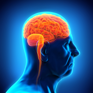 We Were Shocked To Learn This About Sleep Deprivation - Easy Breathe